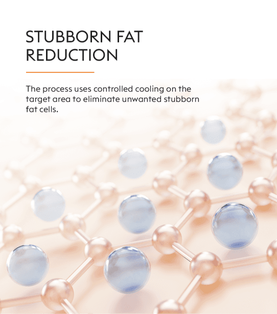 Coolsculpting fat Loss Treatment ,Cost | Slimming Body Treatment |VLCC
